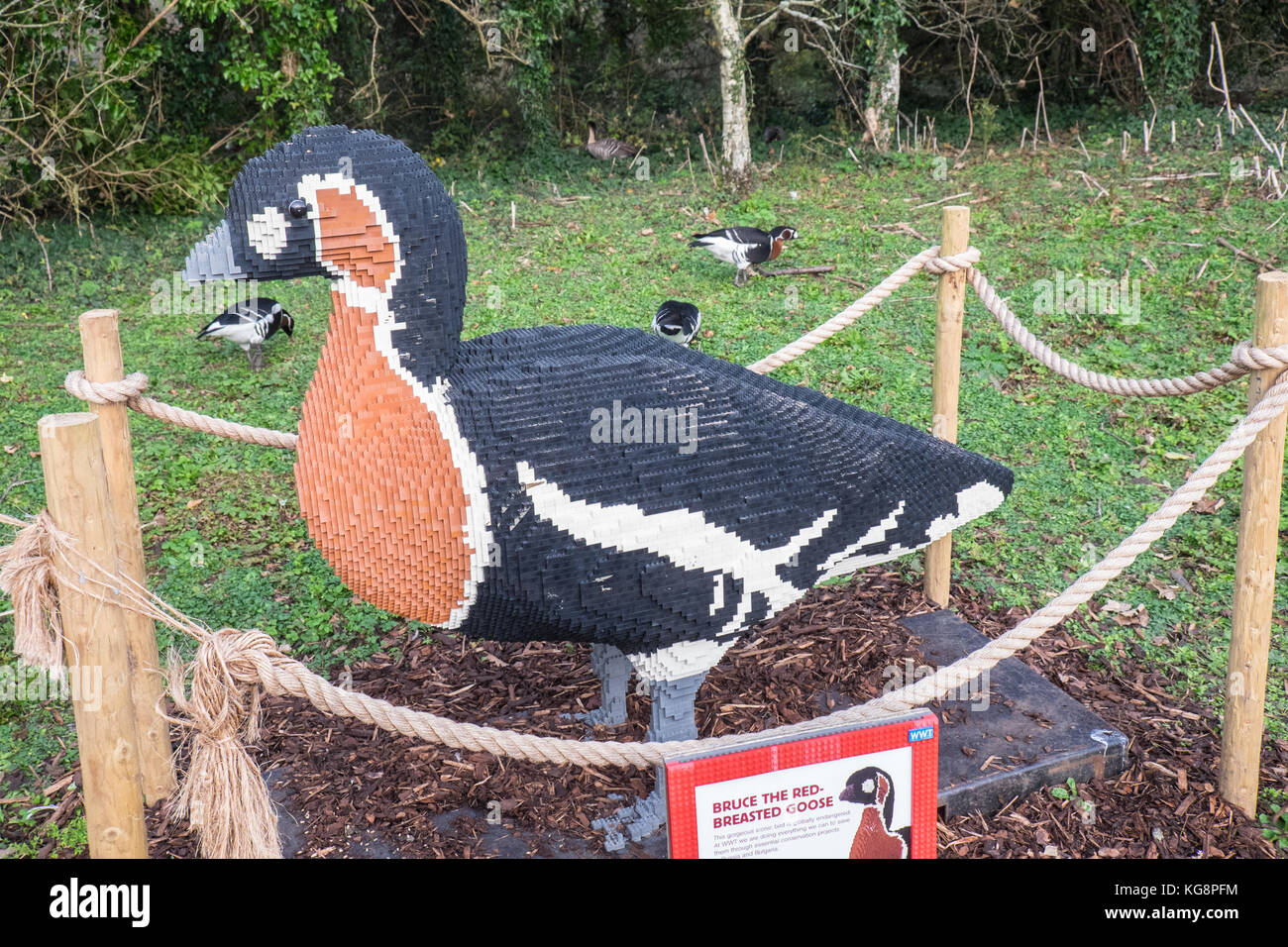 Bruce,red breasted goose, and real geese,Lego,brick,bricks,animal trail ...