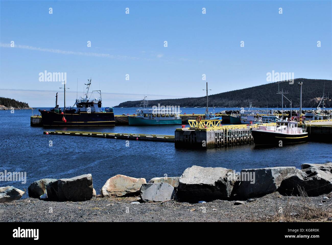 Fishing boats and tour boats tied up at the dock, Bay Bulls ...