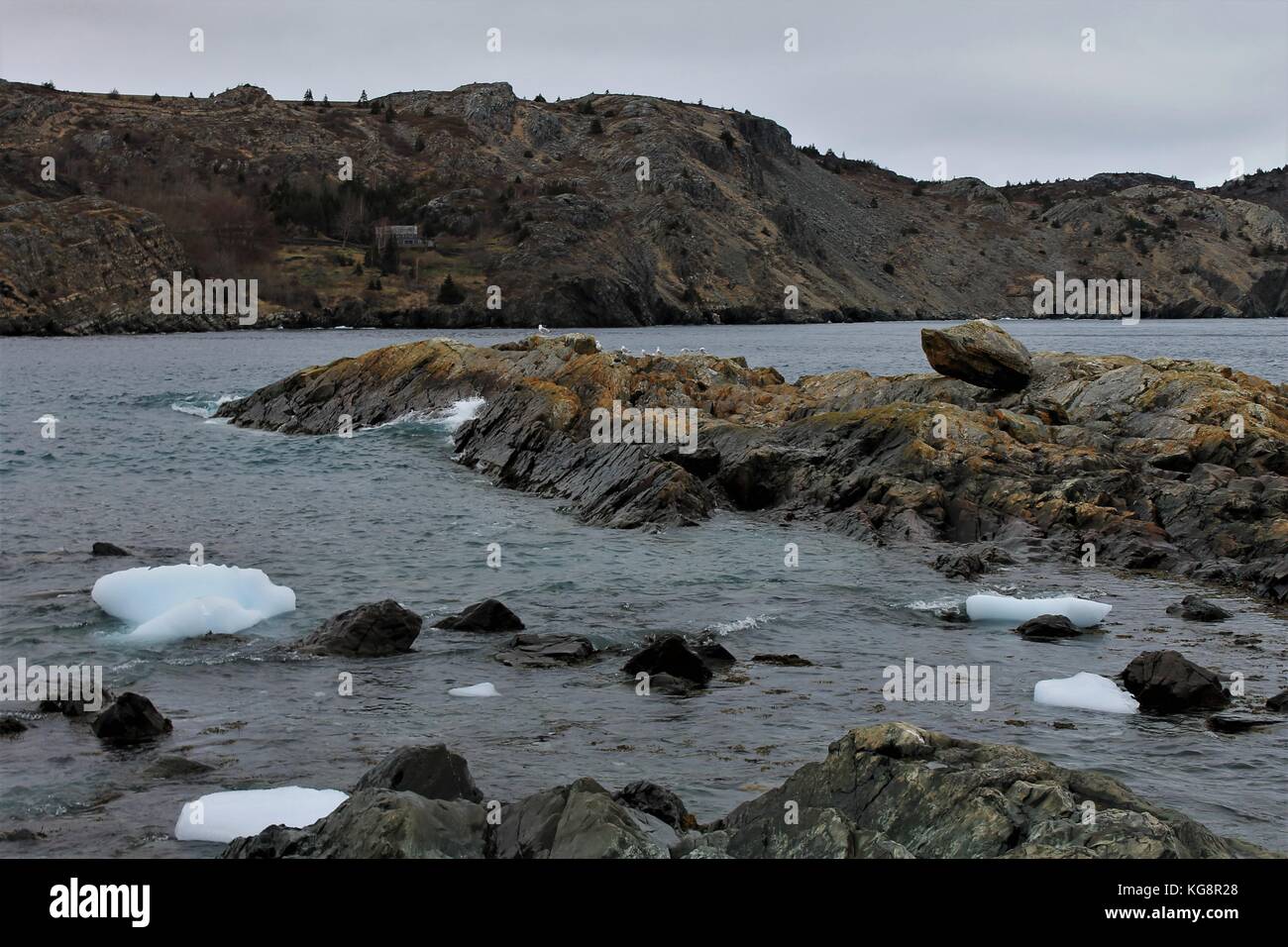 Brigus newfoundland hi-res stock photography and images - Alamy