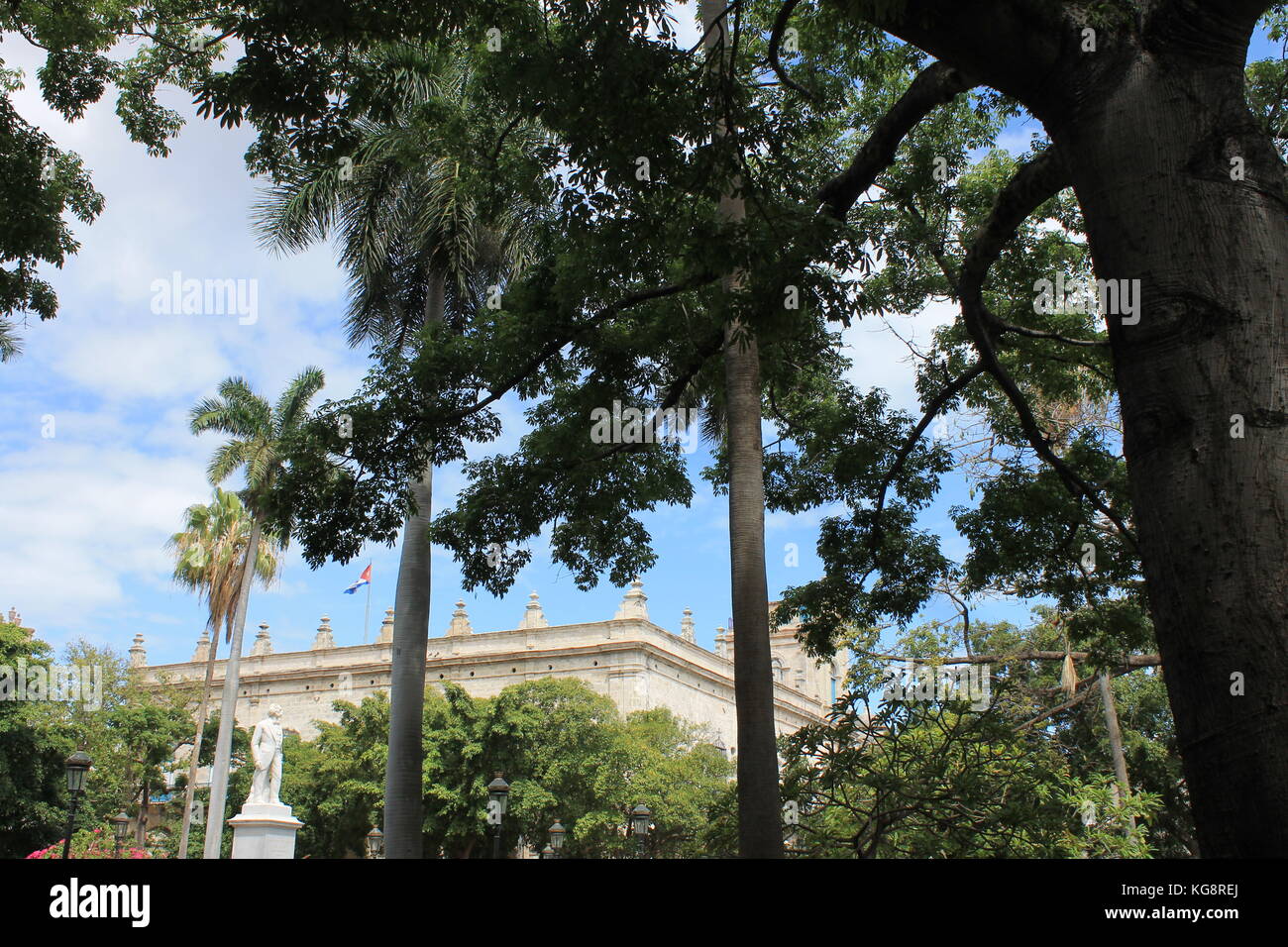 Cuba flag palm trees hi-res stock photography and images - Alamy