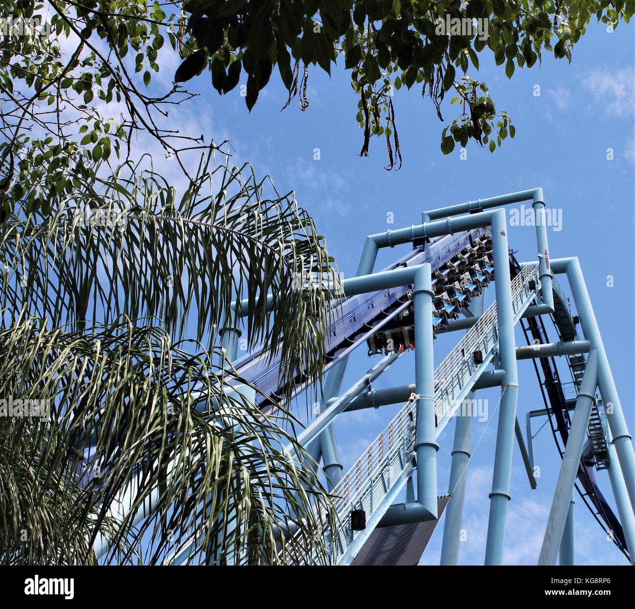 Busch gardens roller coaster hi-res stock photography and images - Alamy