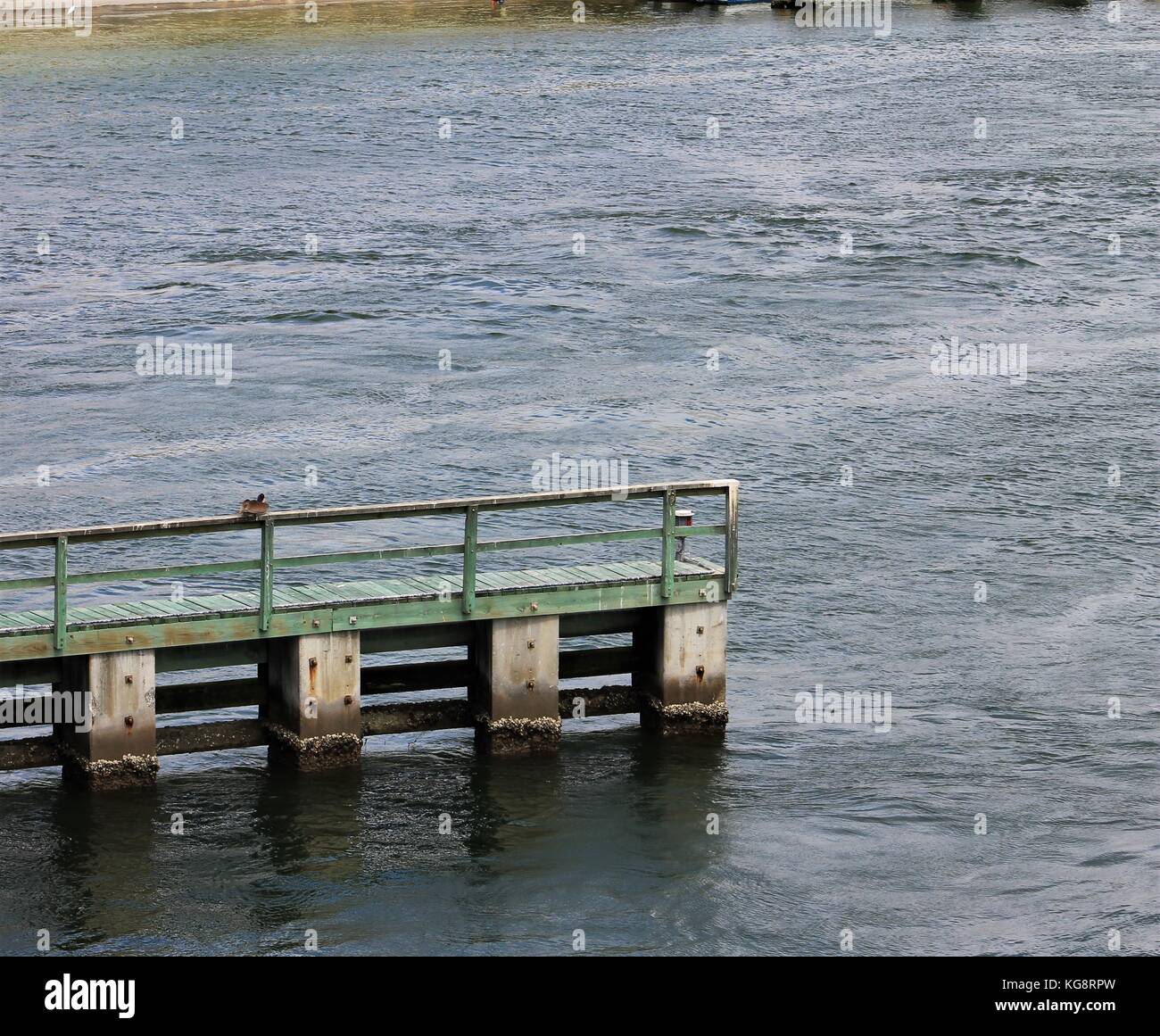 A finger pier juts out into the water at Madeira beach, Florida, USA. A ...