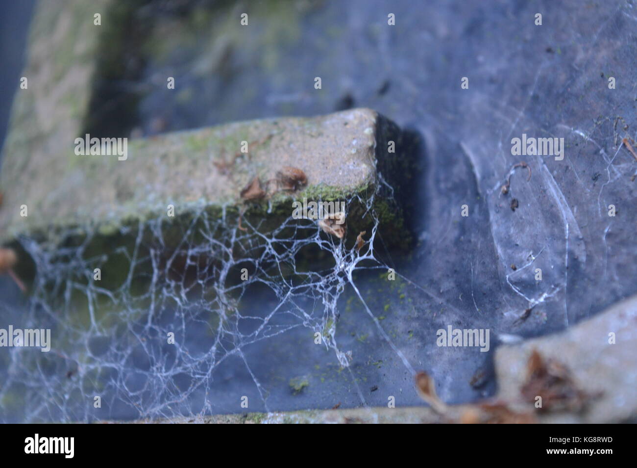 Closeup of an old sign in Paisley Stock Photo - Alamy