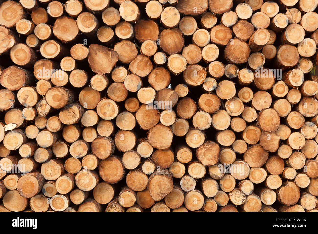 stack of logs Stock Photo - Alamy