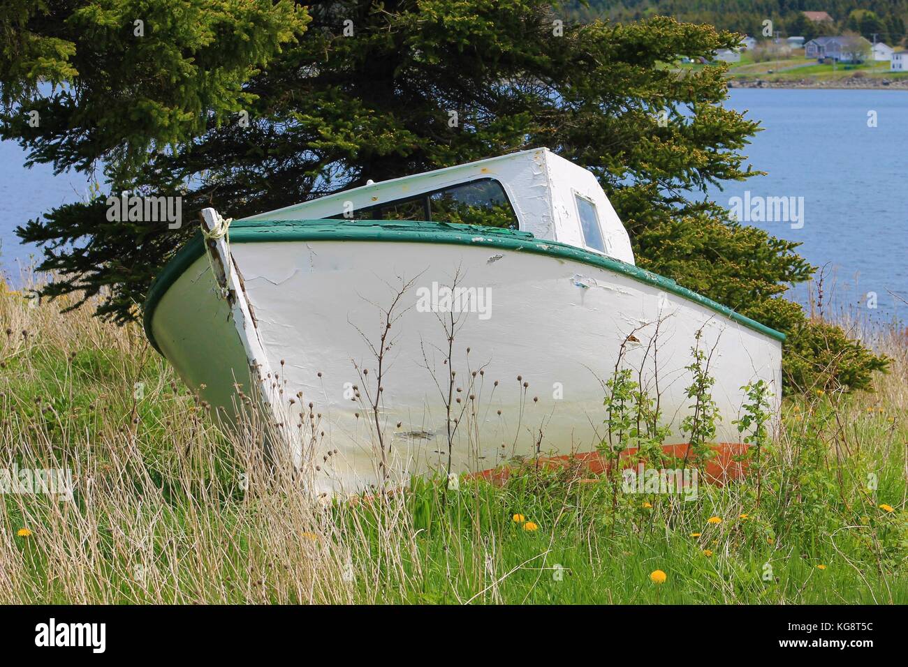 Small fishing boat laying in a field next to the harbour, Harbour Grace ...