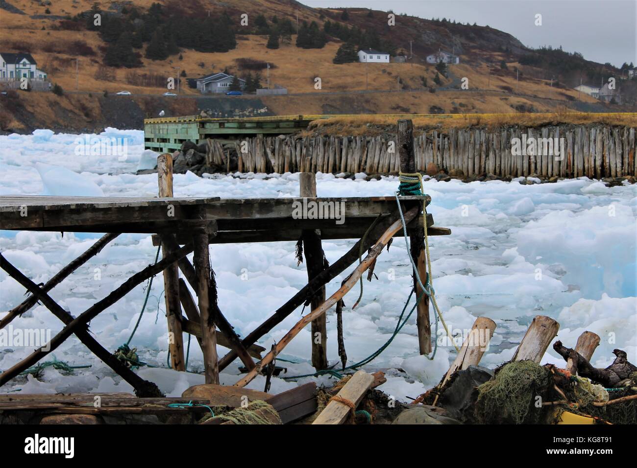 Heavy pack ice fills the harbour, Ferryland, Newfoundland Labrador ...