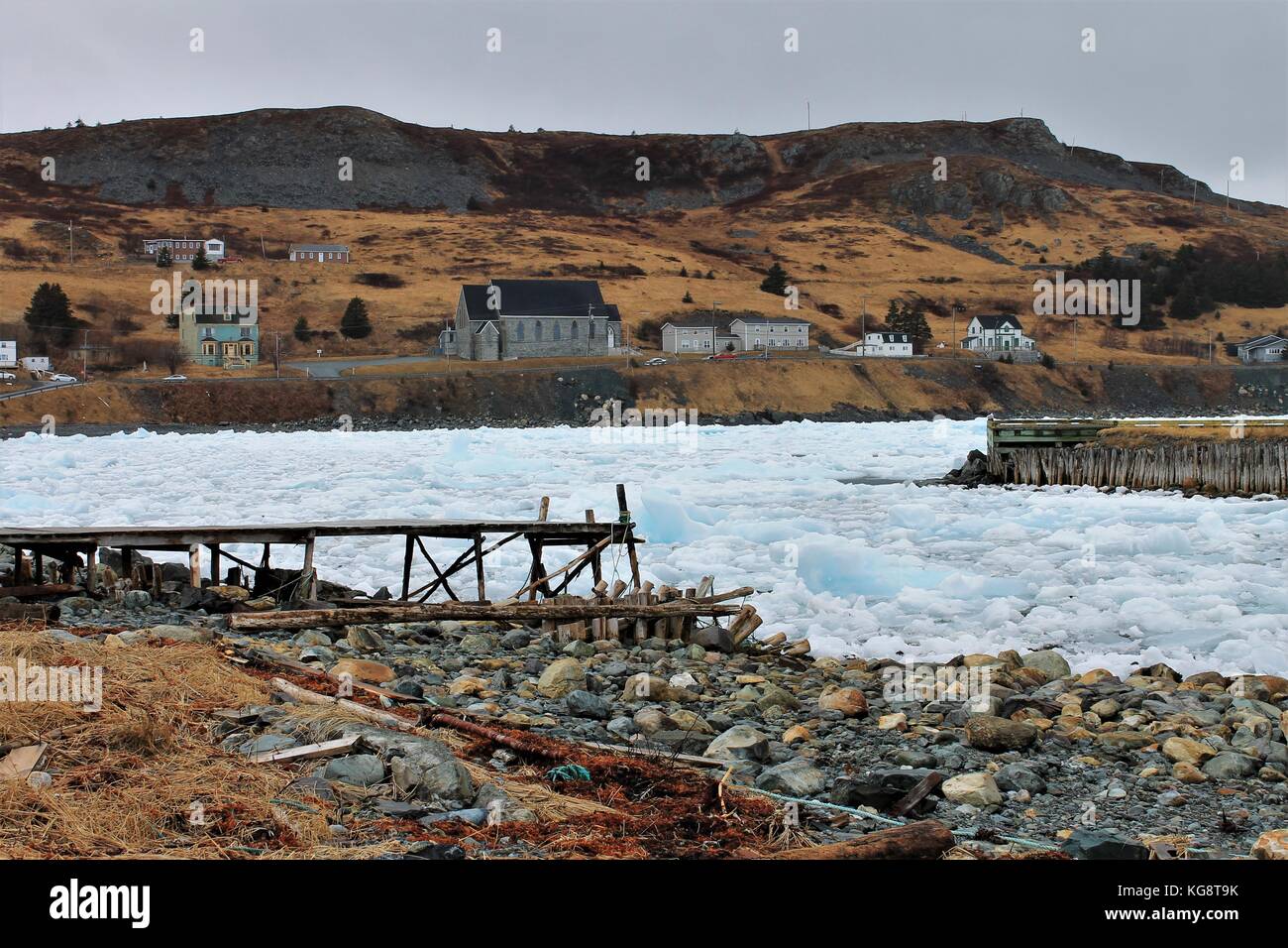 Heavy pack ice fills the harbour, Ferryland, Newfoundland Labrador ...