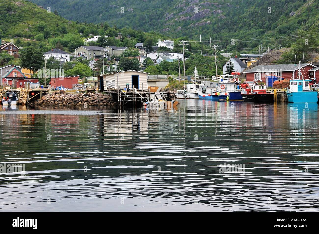 Petty harbour maddox cove hi-res stock photography and images - Alamy