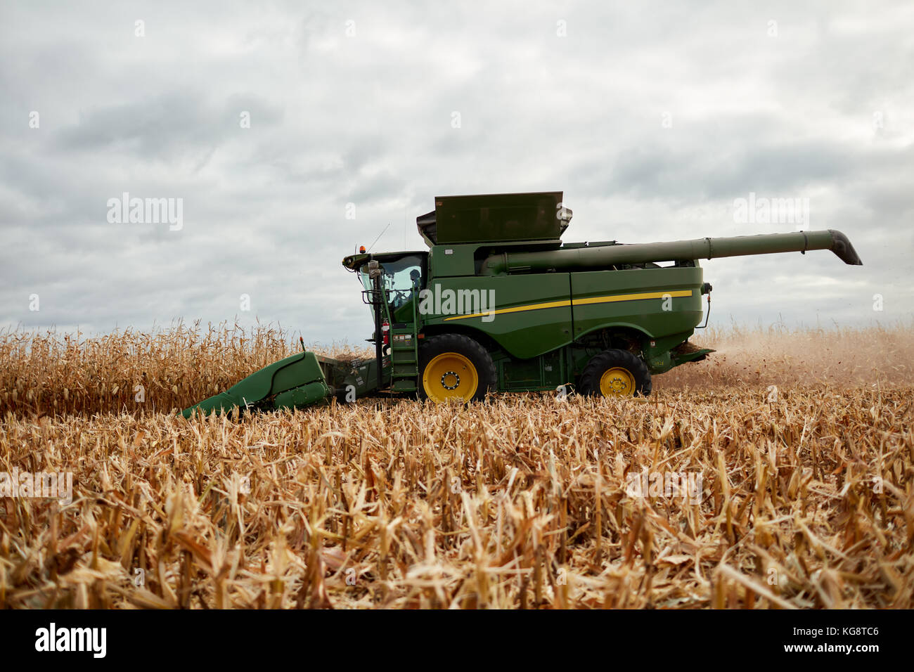 Farmer driving combine harvesting corn hi-res stock photography and ...
