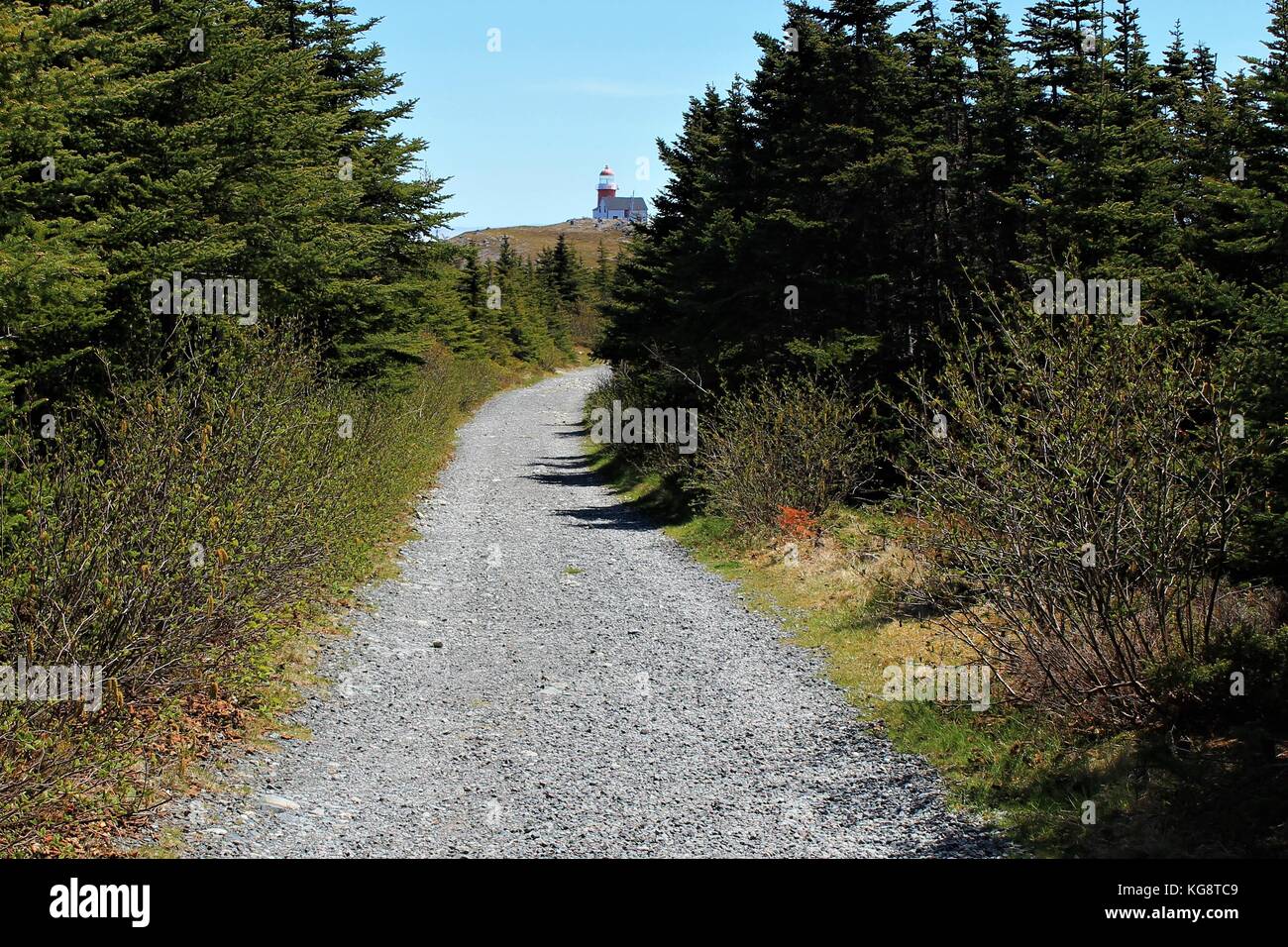 Hiking trail to the old Lighthouse, Ferryland Downs, Ferryland ...