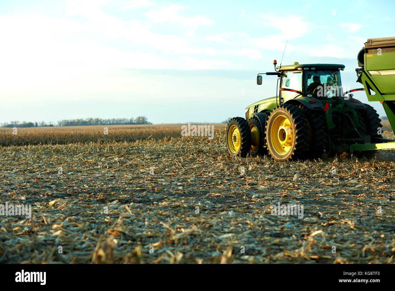 Farmer waiting to transport the harvested maize crop with his tractor ...