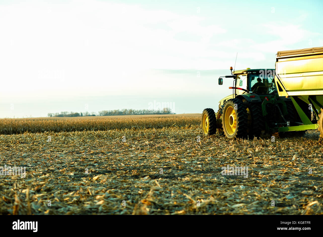 Farmer waiting in his tractor and trailer during the harvesting of a ...