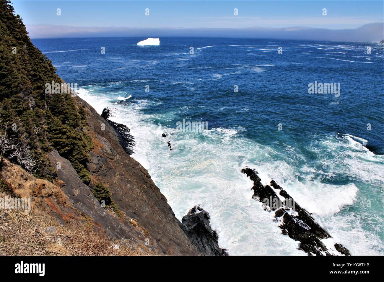 Iceberg in the bay, Torbay, Newfoundland Labrador Stock Photo - Alamy