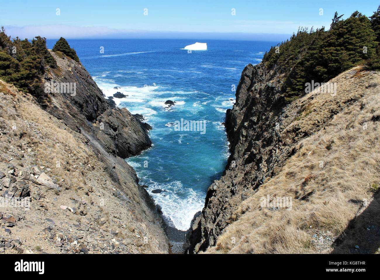 Iceberg in the bay, Torbay, Newfoundland Labrador Stock Photo - Alamy