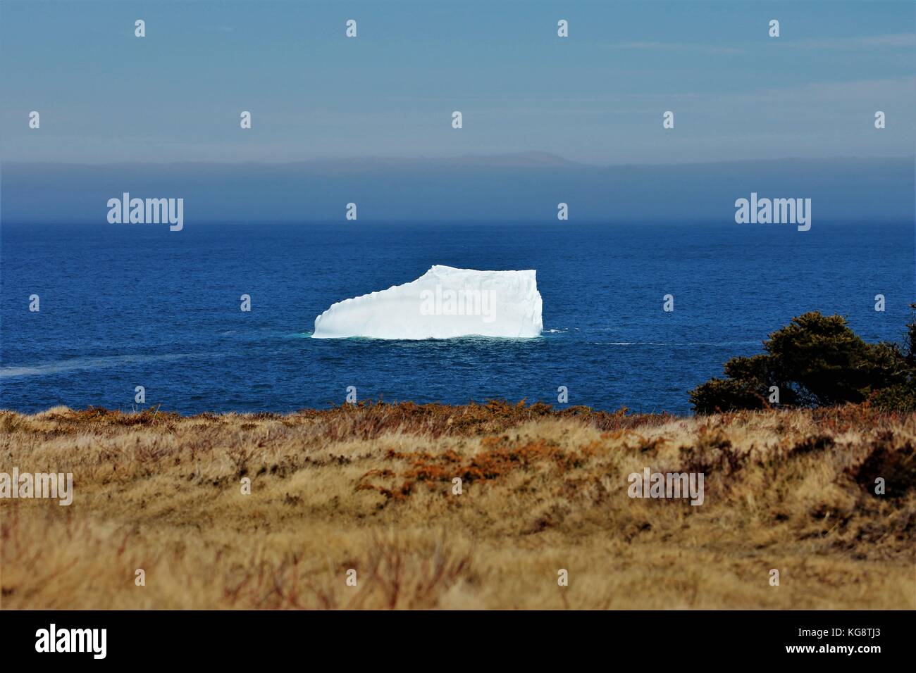 Iceberg in the bay, Torbay, Newfoundland Labrador Stock Photo - Alamy