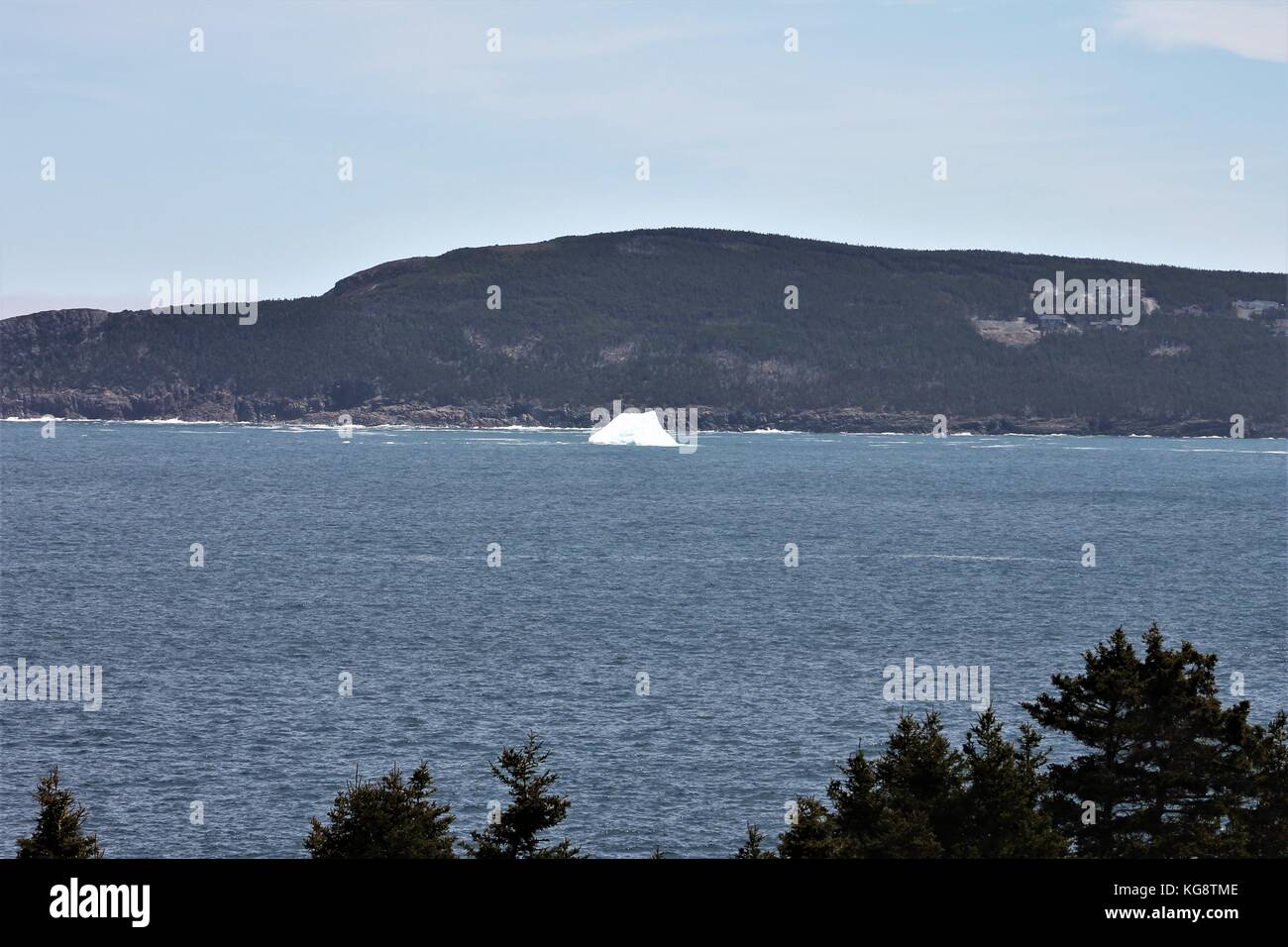 Iceberg in the bay, Torbay, Newfoundland Labrador Stock Photo - Alamy
