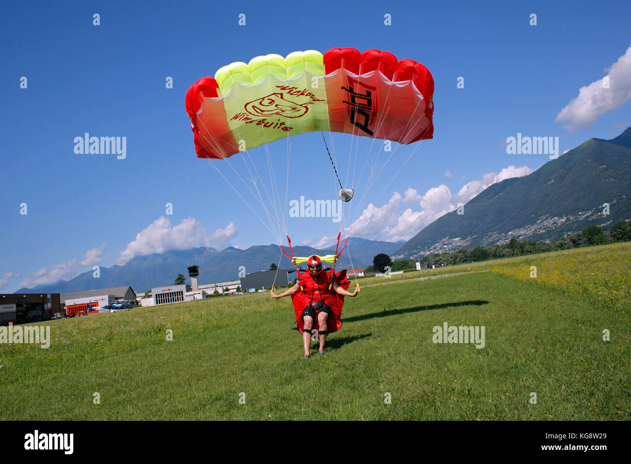 Skydiver is flying under his parachute and going to land on the green ...