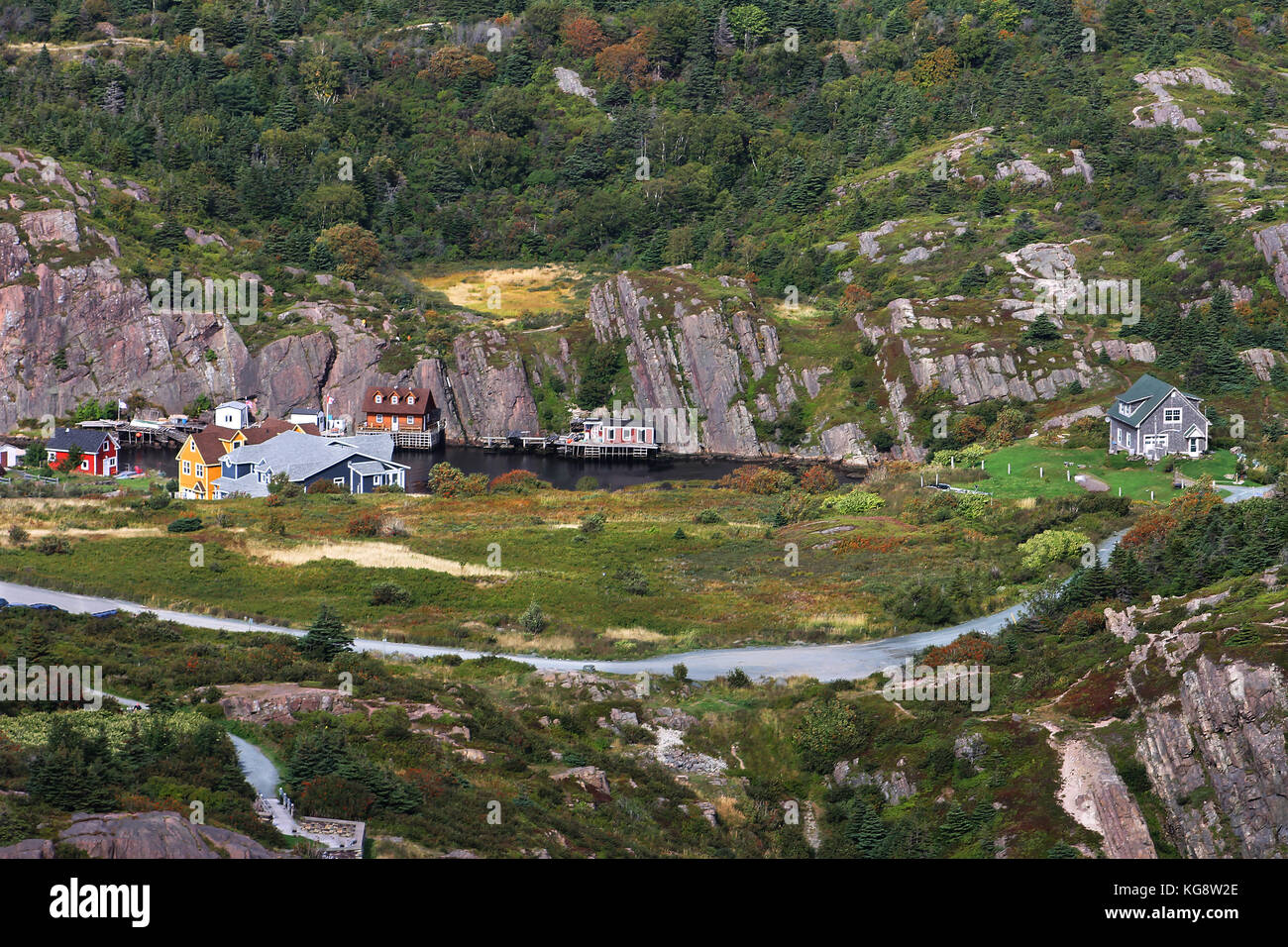 Houses, docks, and fishing sheds cliff side, on the harbor, Quidi Vidi ...