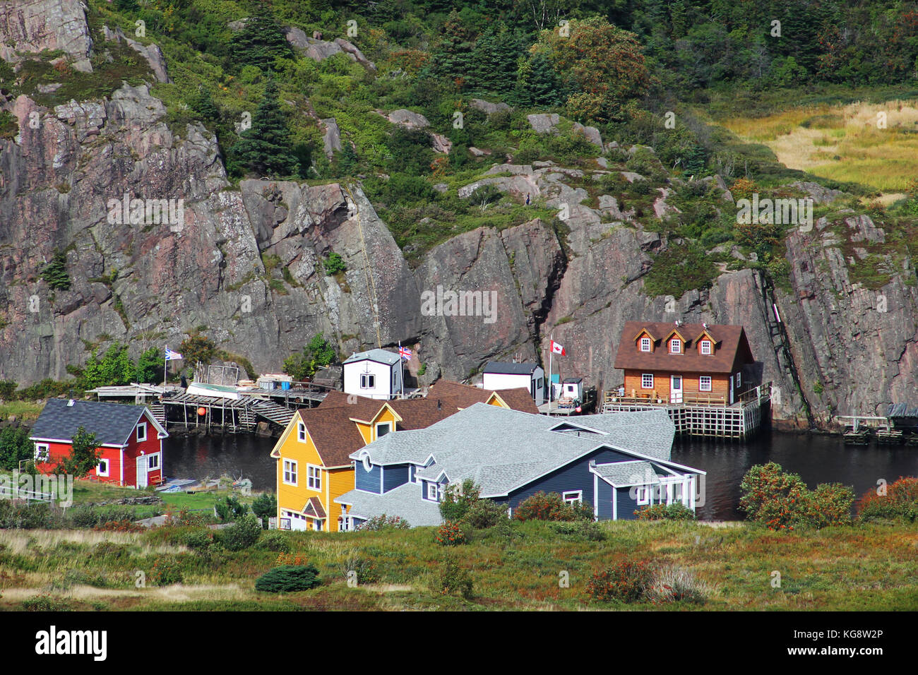 Houses, docks, and fishing sheds cliff side, on the harbor, Quidi Vidi ...
