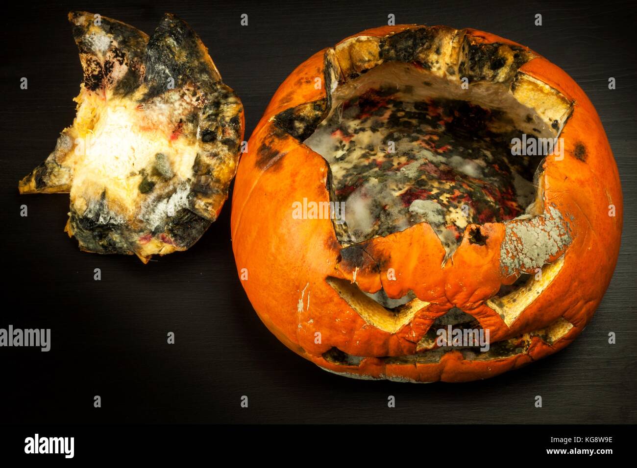 Moldy pumpkin. End of Halloween celebrations. The decaying pumpkin. Moldy food Stock Photo - Alamy