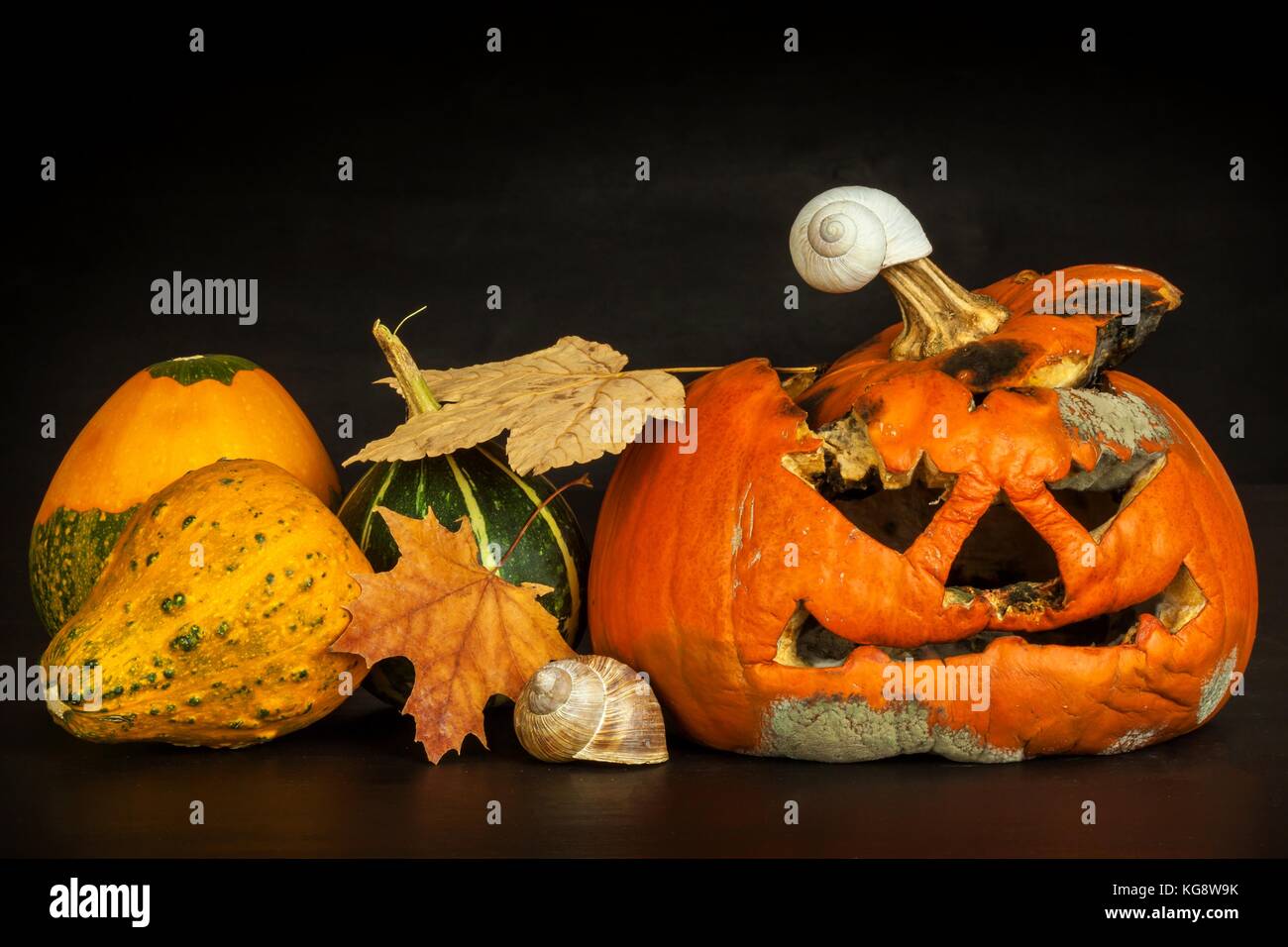 Moldy pumpkin end halloween hi-res stock photography and images - Alamy