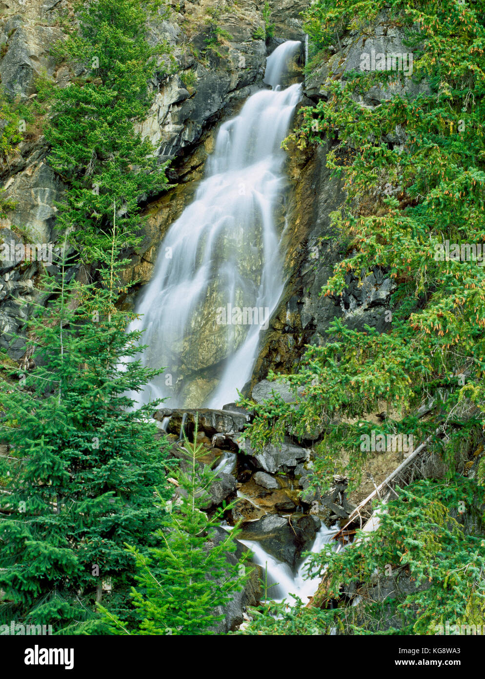 holland falls above holland lake near condon, montana Stock Photo - Alamy