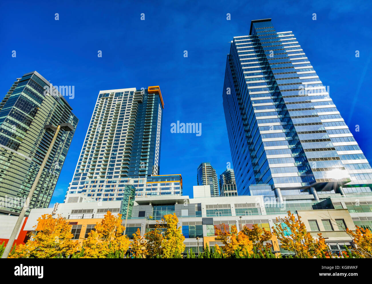 New Bellevue Washington Tall Buildings Yellow Autumn Leaves Stock Photo ...