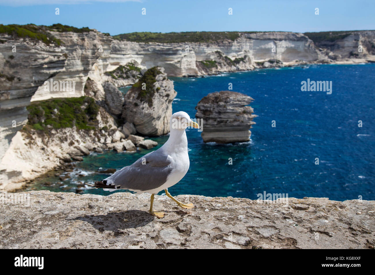 Cliff ledge mediterranean hi-res stock photography and images - Alamy