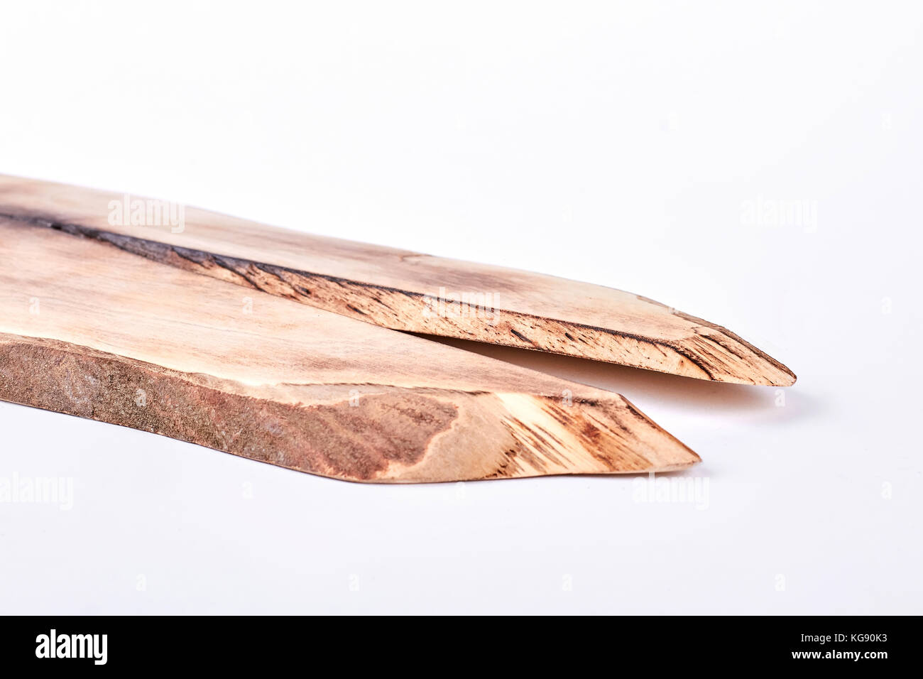 Tree cross section white oak hi-res stock photography and images - Alamy