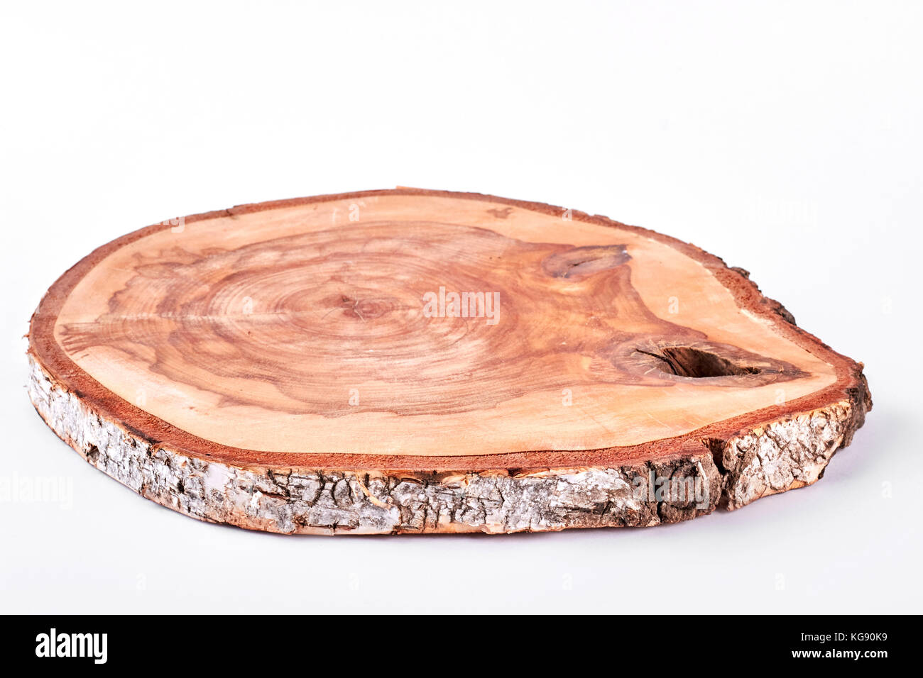 Tree stump on white background Stock Photo - Alamy
