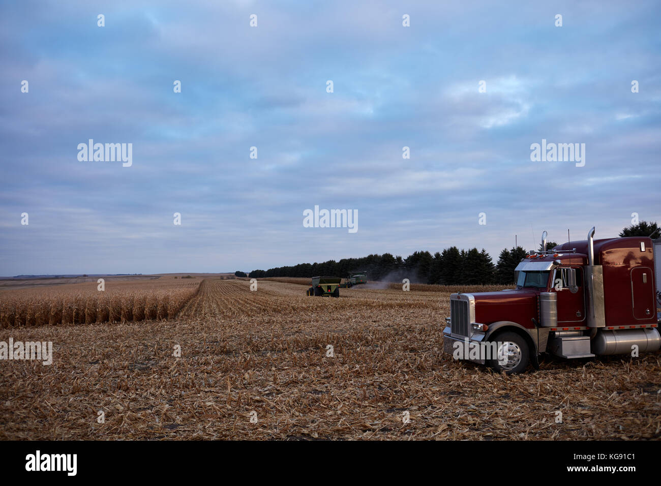 Semi truck and trailer waiting to transport maize at dusk at the edge ...