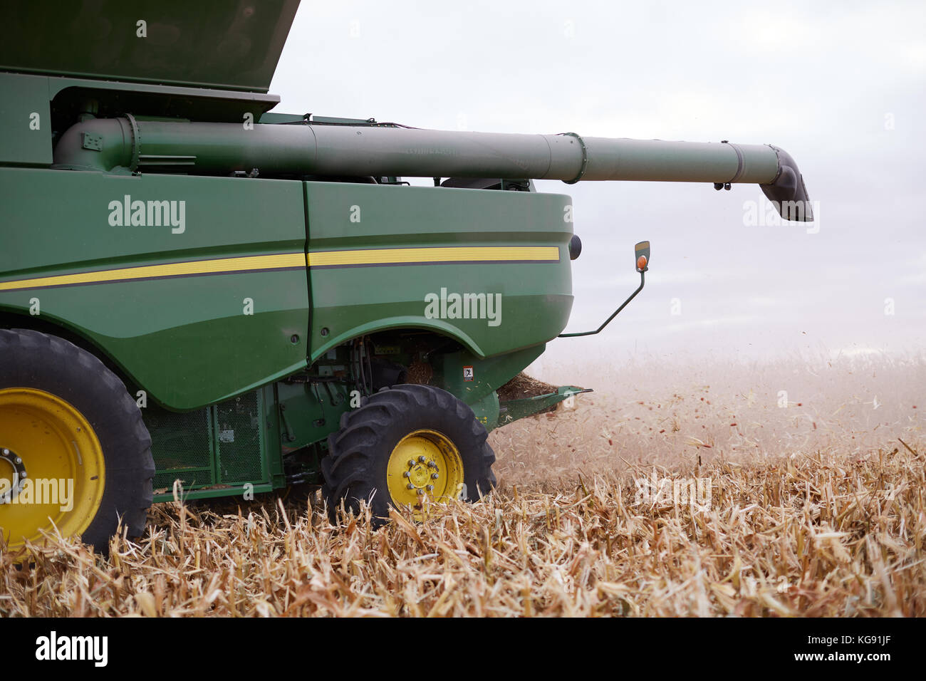 Combine harvester working in a field harvesting the fall maize crop in ...