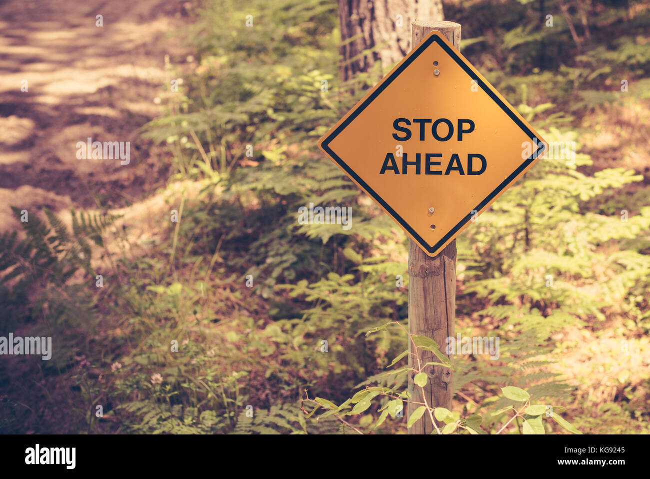 Stop Sign on Forest Trail Stock Photo - Alamy