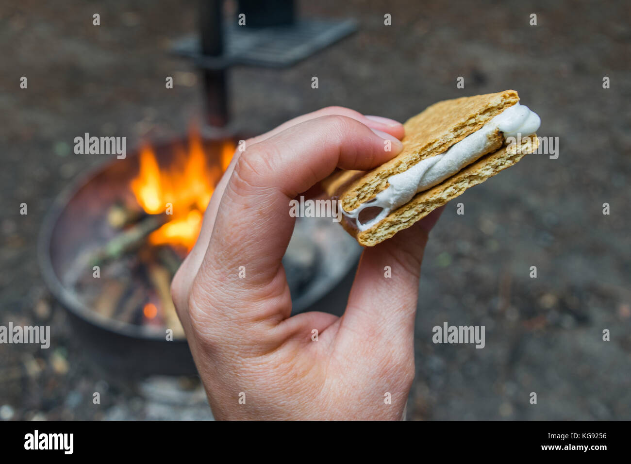 Smores sandwich marshmallow chocolate hi-res stock photography and ...