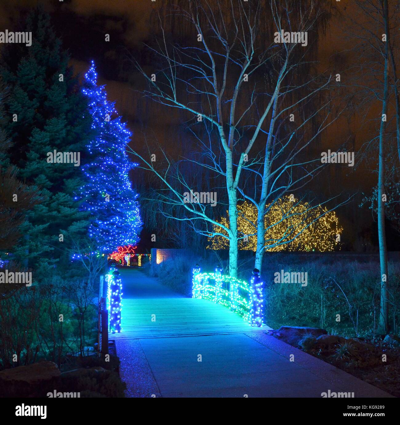Outdoor Tree Lights Stock Photo - Alamy