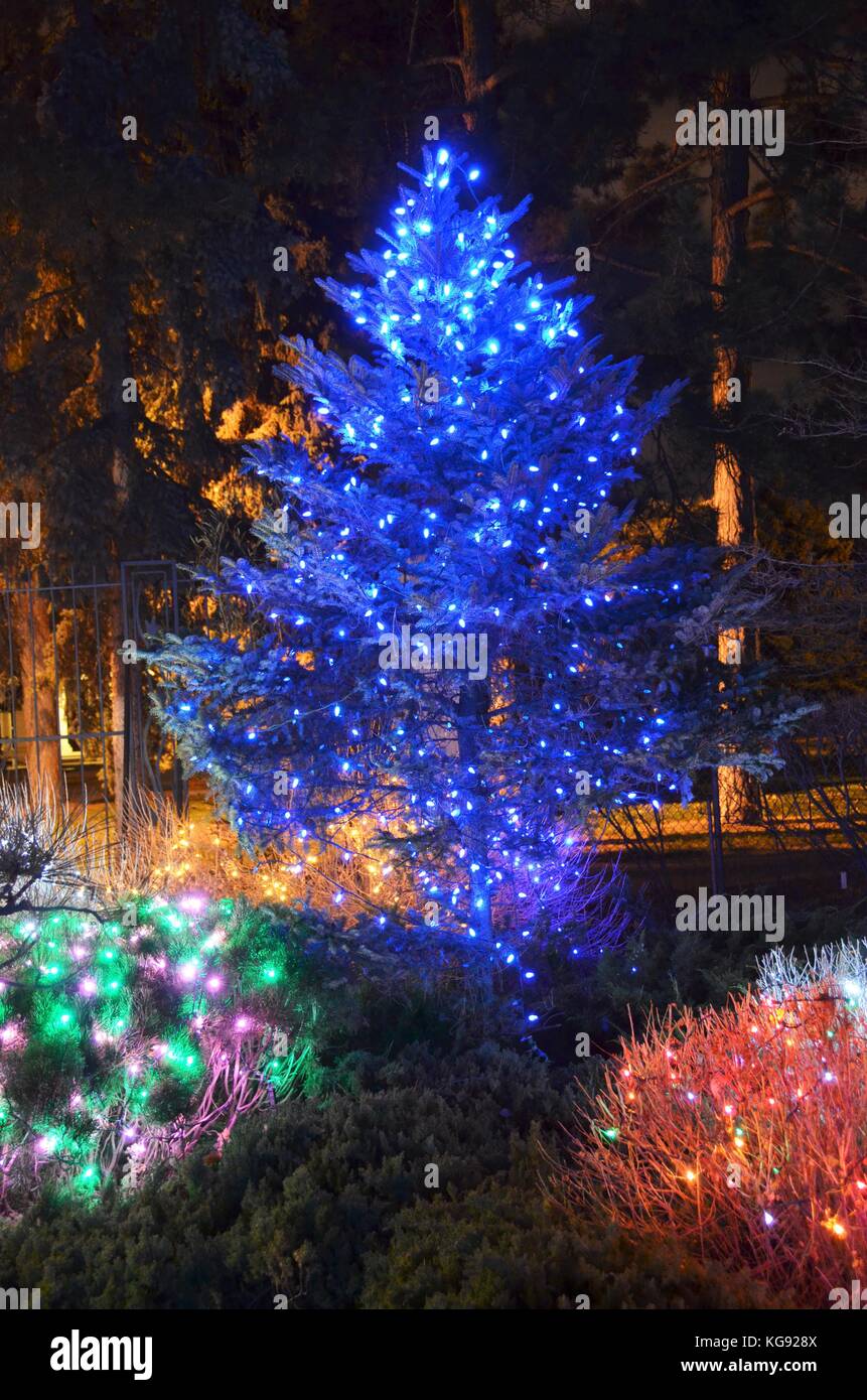 Outdoor Tree Lights Stock Photo - Alamy