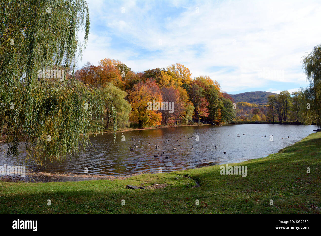 Pond and Trees With Fall Foliage Behind Stock Photo - Alamy