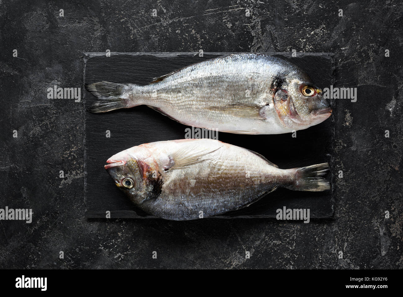 Two fresh sea bream or dorado fish on slate on dark stone table. Top ...