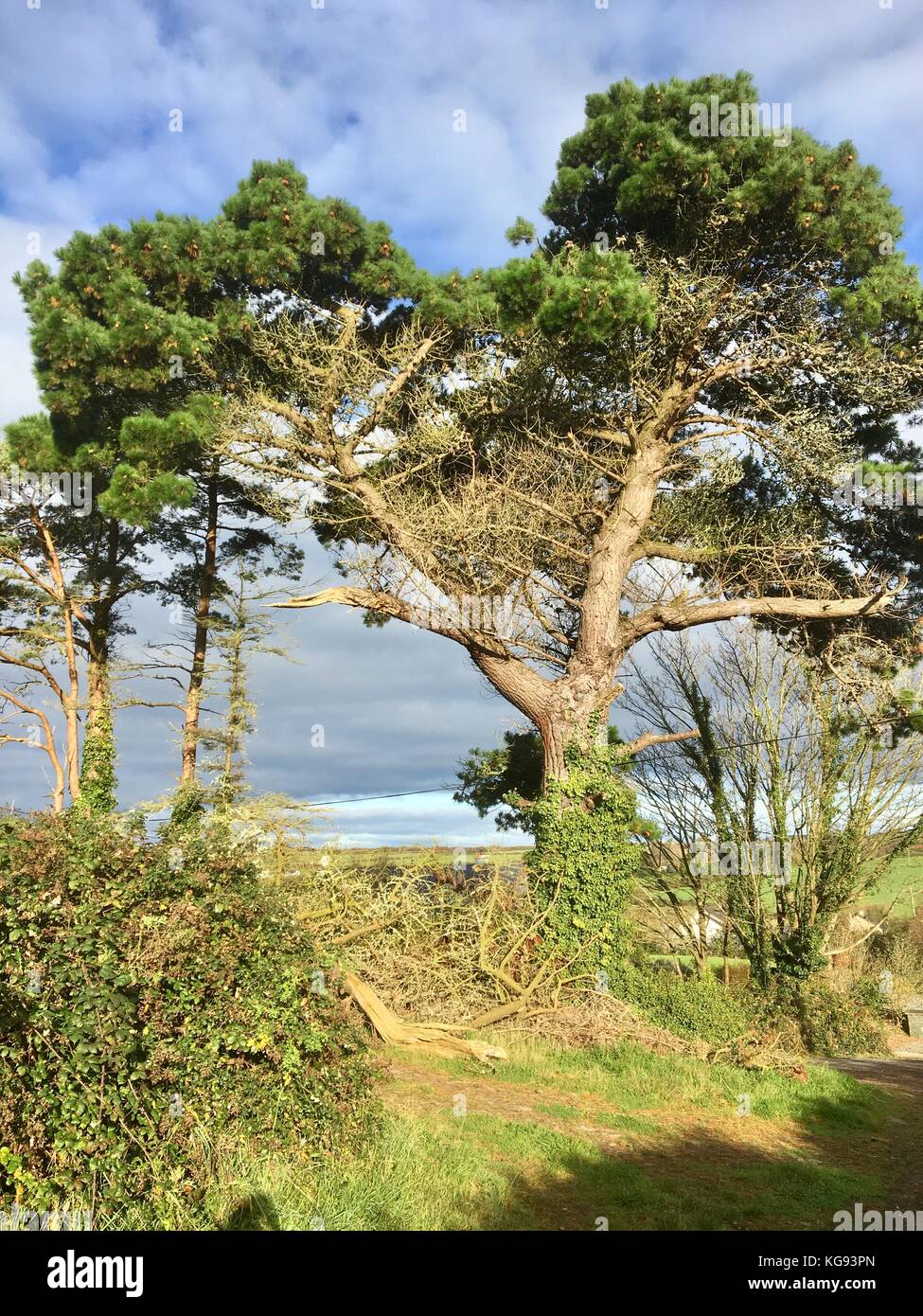 Age and wisdom hi-res stock photography and images - Alamy