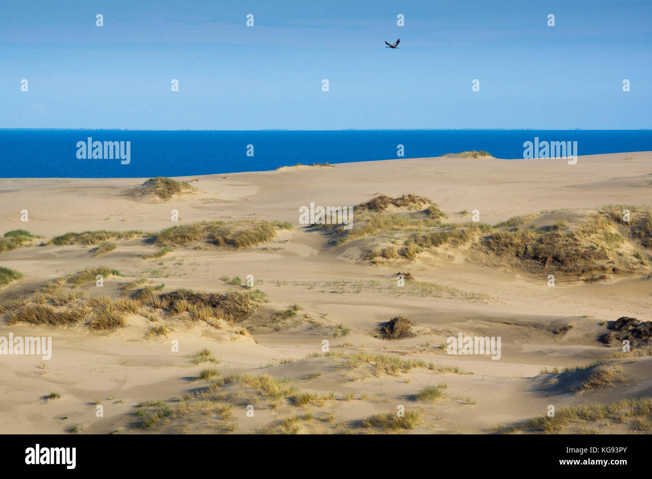 Sand spit dune dunes hi-res stock photography and images - Alamy