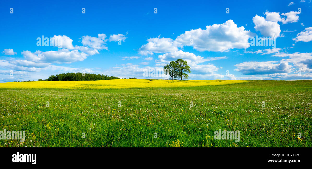 Beautiful summer landscape Stock Photo - Alamy