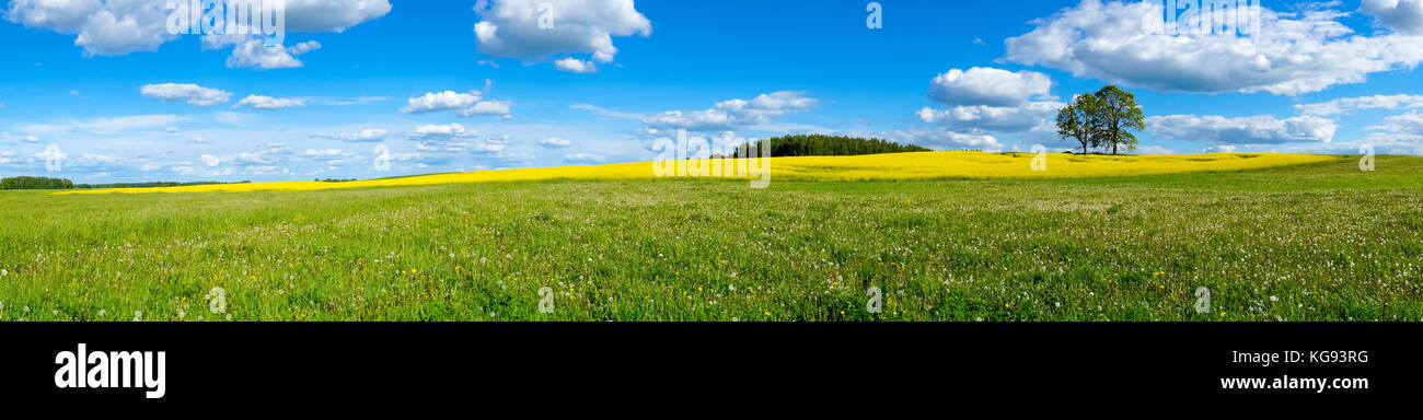 Beautiful summer landscape Stock Photo - Alamy