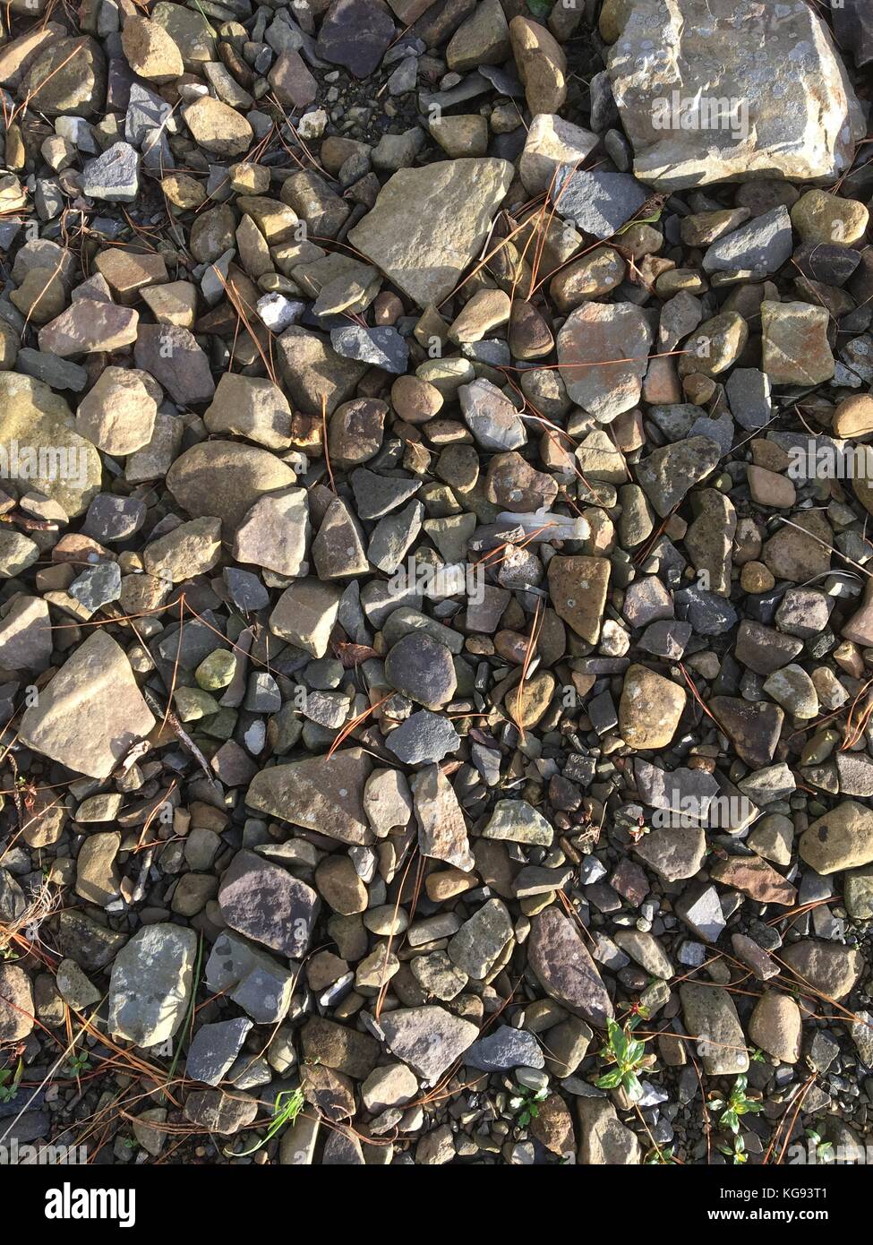 Cobble stones as n nature Stock Photo - Alamy