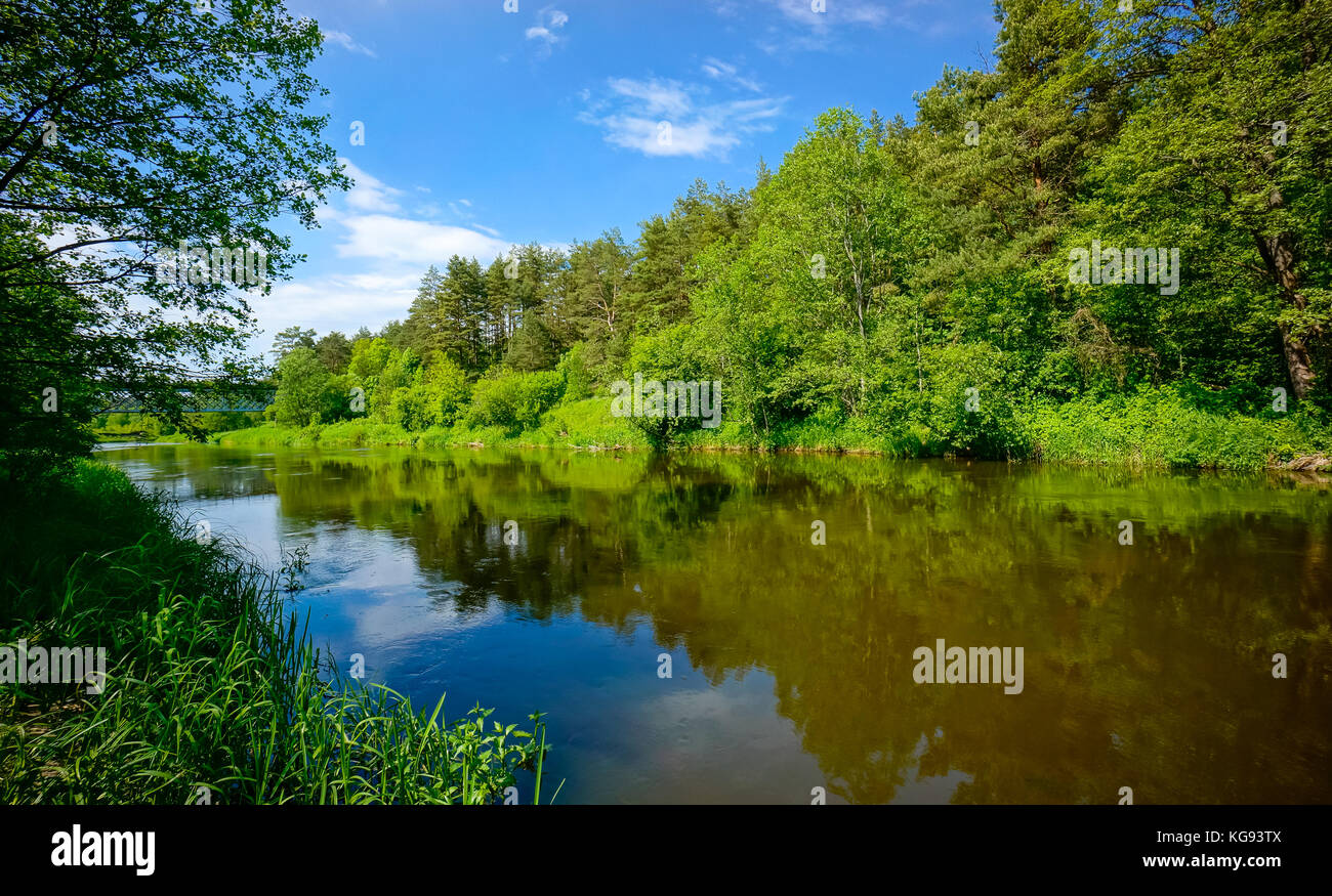 River in the forest landscape Stock Photo - Alamy