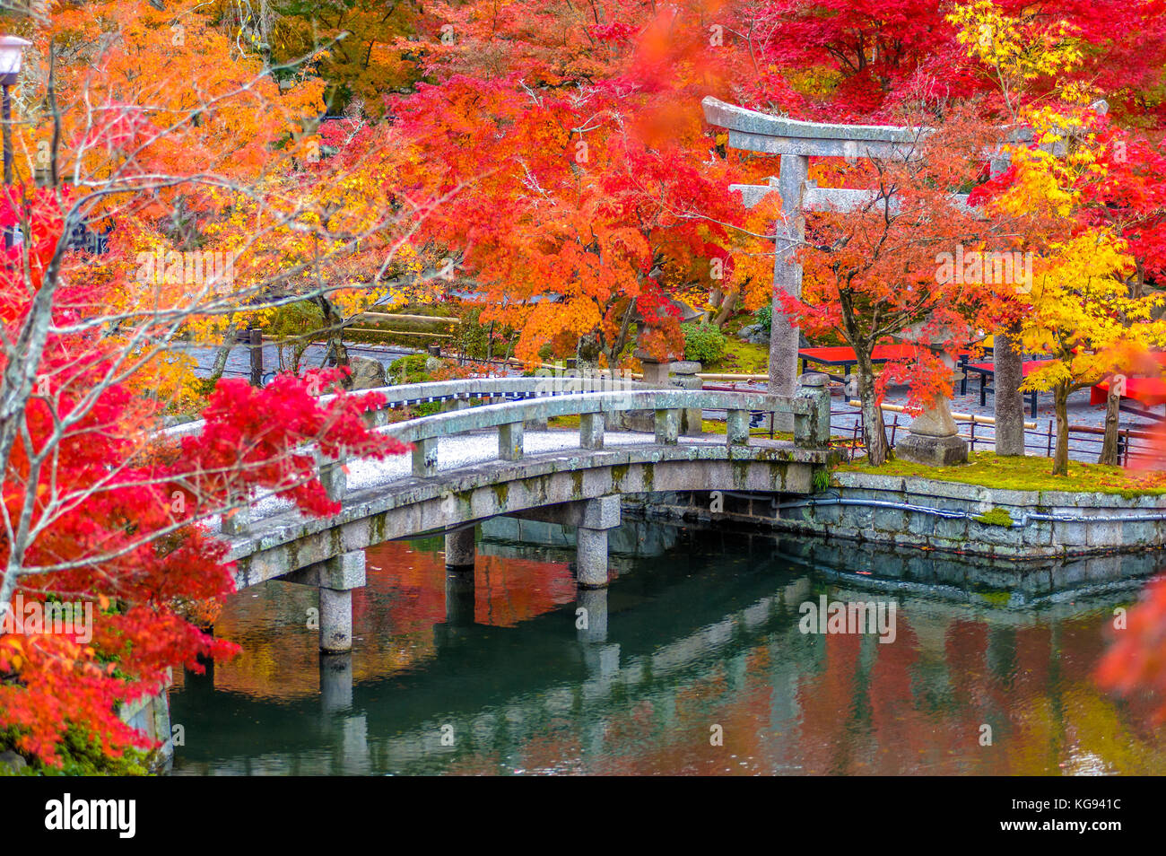 autumn foliage at Eikando Temple in Kyoto, Japan Stock Photo - Alamy