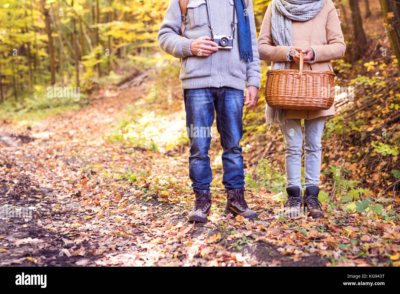 Senior couple on a walk in autumn forest Stock Photo - Alamy