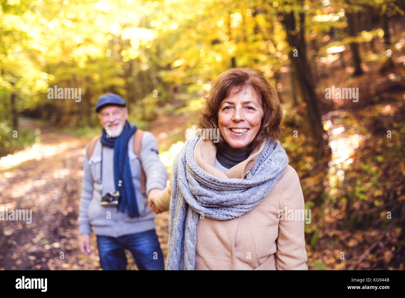 Senior couple on a walk in autumn forest Stock Photo - Alamy