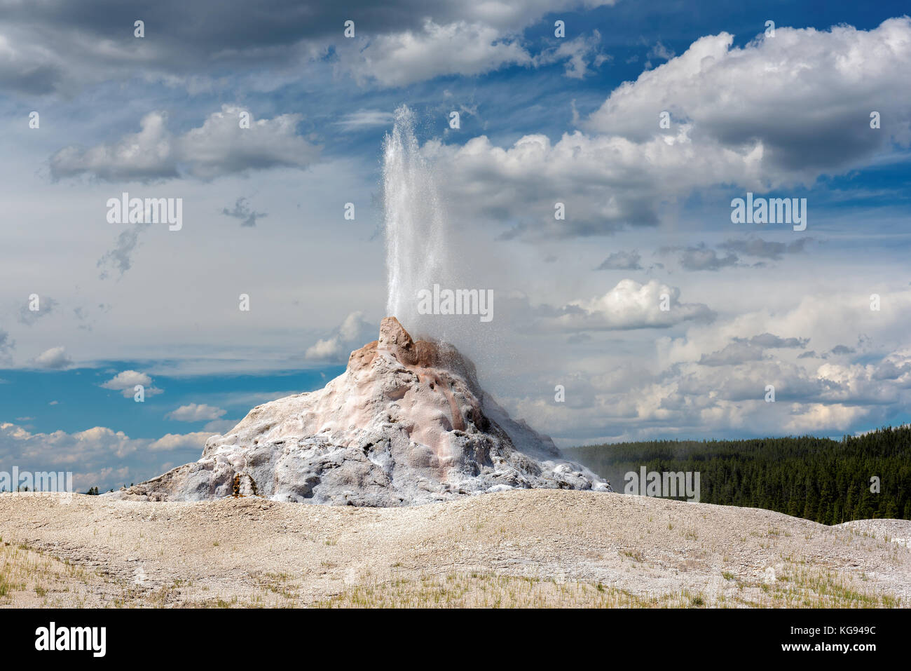 Geyser in Yellowstone Stock Photo - Alamy