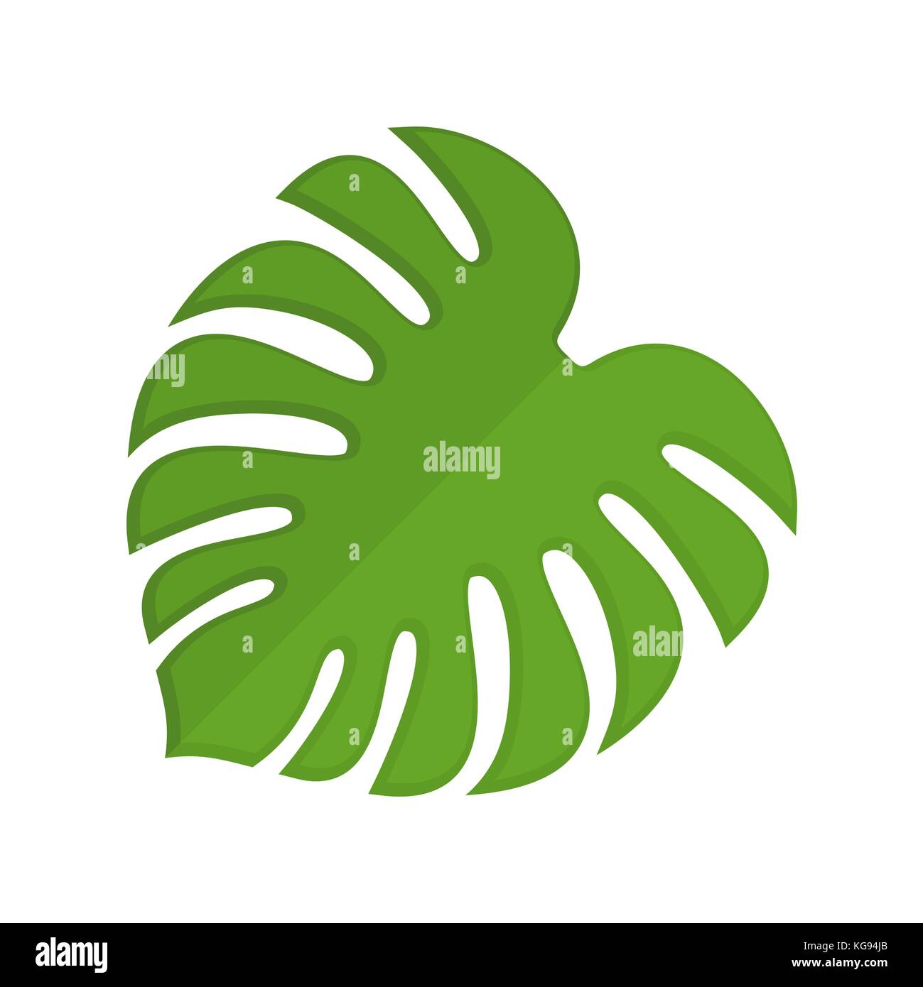 Dense tropical jungle Cut Out Stock Images & Pictures - Alamy