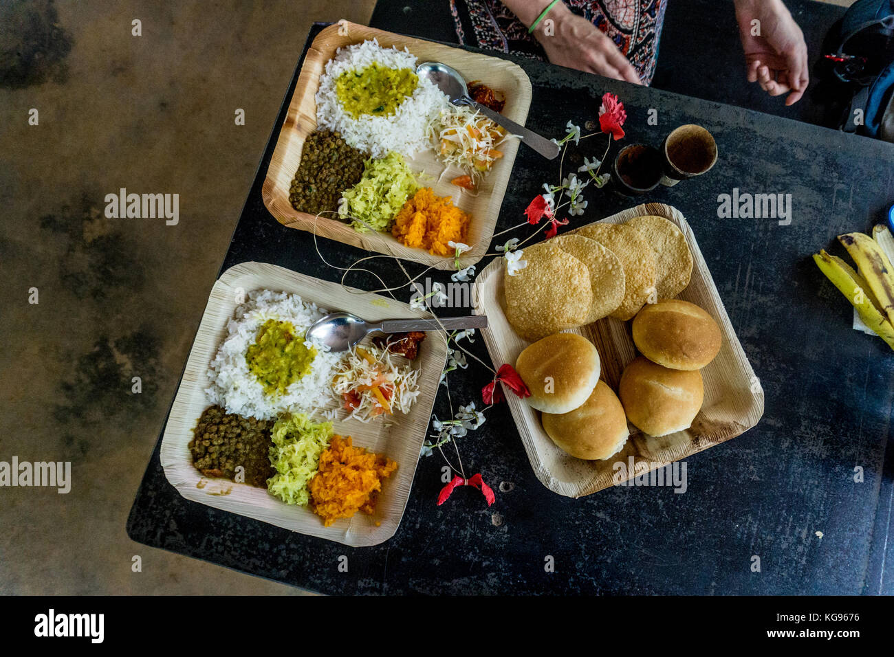 Tropical Spice Plantation Stock Photo - Alamy